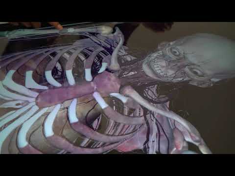 State Tech's Anatomage Table