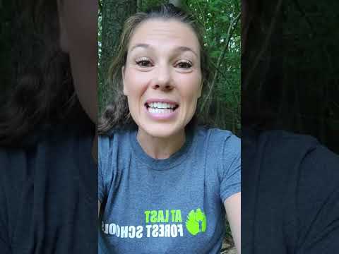 Owen Sound Forest School Description