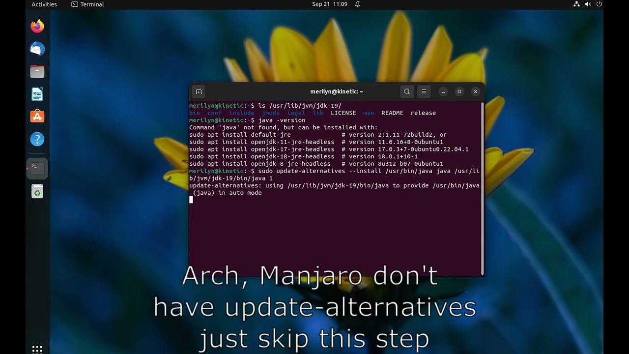 Install the latest Java, add to PATH, setup java home variable in Linux