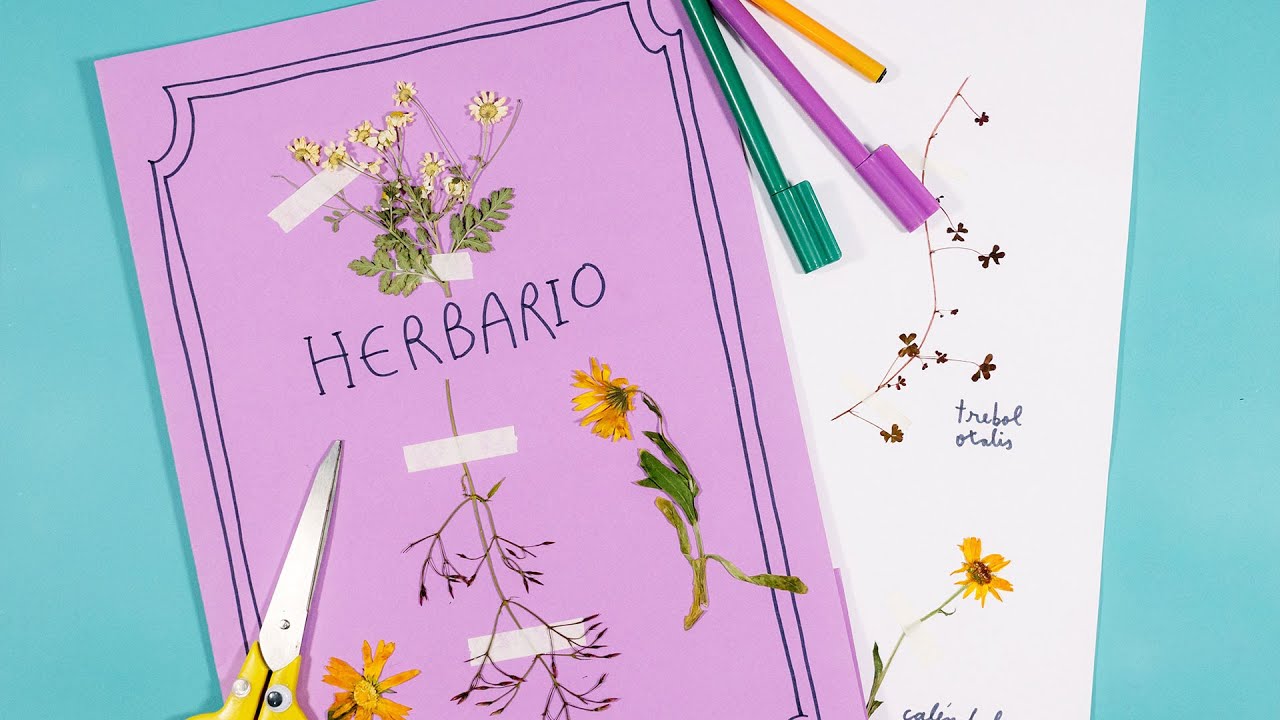 Herbario: un tutorial de “Oye, ¿Vamos al Taller?”