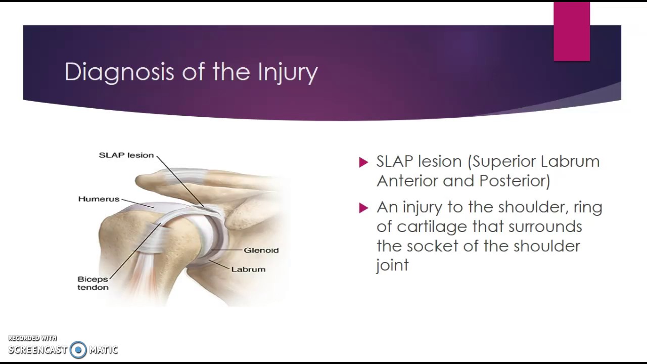 Human anatomy case study