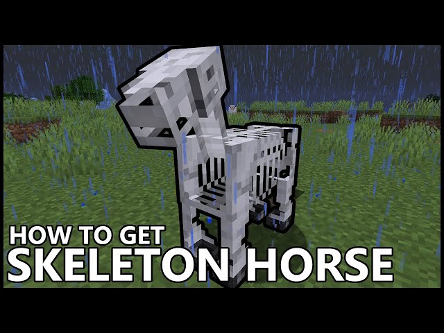 What is Minecraft skeleton horse trap?