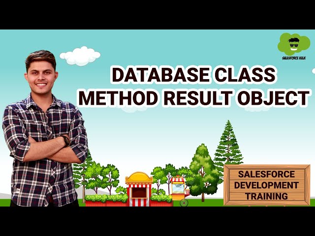 Database Class Method Result Object Salesforce Developer Tutorials