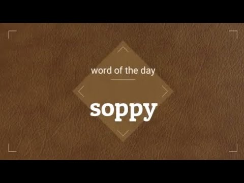 soppy: meaning and usage