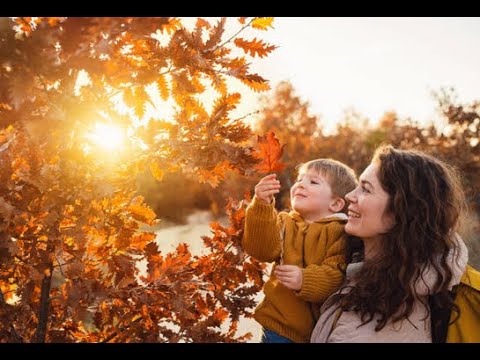 Find out the first day of fall 2024 and when the time change occurs.
