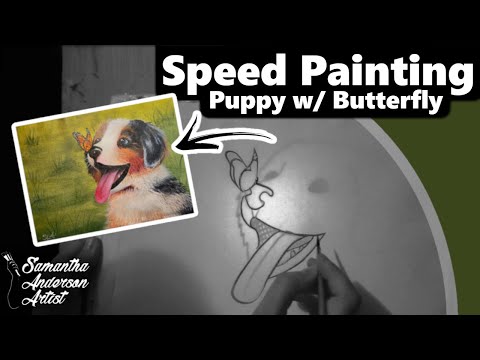 Speed Painting - Puppy with Butterfly (Australian Shepherd in Acrylics) | SLA Designs