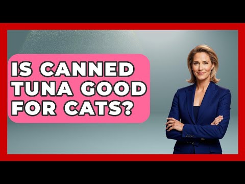 Is Canned Tuna Good For Cats? - PetGuide360.com