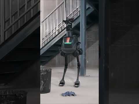 🤖 LimX TRON 1 Robot Reshapes Mobile Manipulation: Full Humanoid Control & Terrain Mastery! 👇