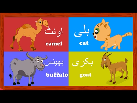 Learn Animal Names in Urdu and More | جانور کے نام | Urdu Kids Rhymes Collection