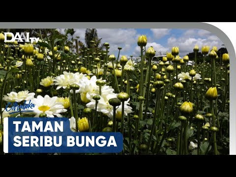 Desa Wisata Raya Seribu Bunga