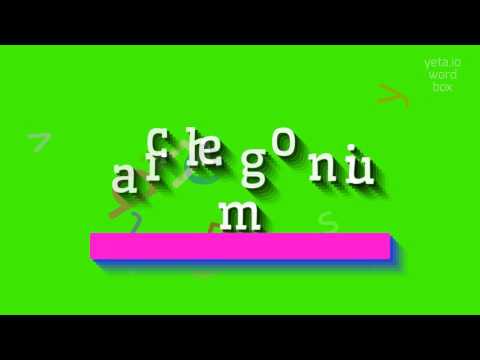 ARCHEGONIUM - HOW TO SAY ARCHEGONIUM? #archegonium