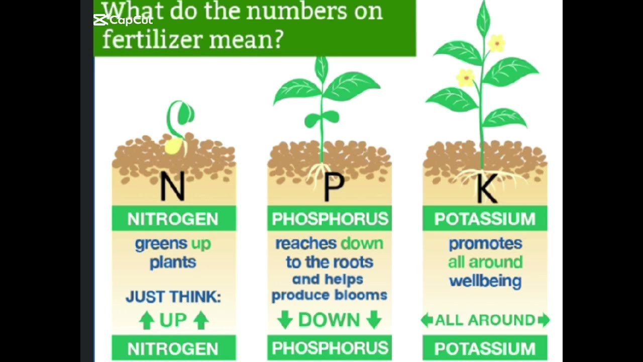 🌱 Soil NPK Sensor / Device Explained 🌾