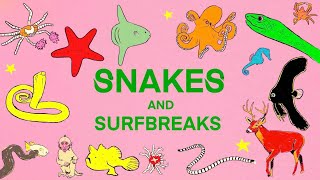 Snakes and Surf Breaks - movie: watch streaming online