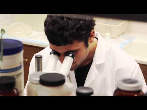 Save energy and keep you hands warm – The “Green Laboratory Program” at ...