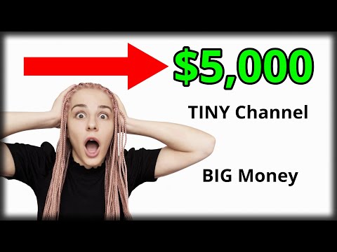 This Small Channel Makes $5K | The Secret No One Talks About