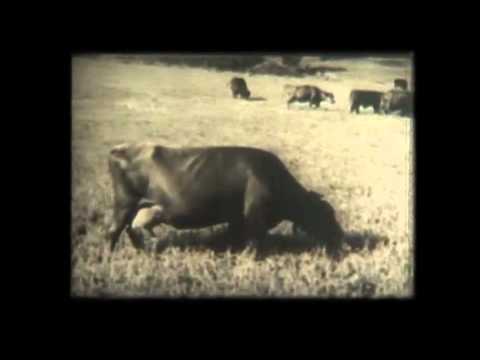NRF-1946 4 min