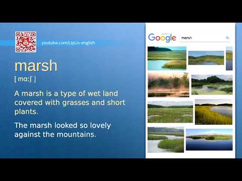 Marsh : B2 level english vocabulary lesson, www.LipLix.com