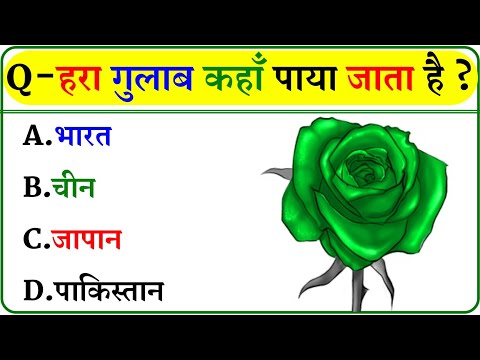 GK Question || GK In Hindi || GK Question and Answer || GK Quiz ||