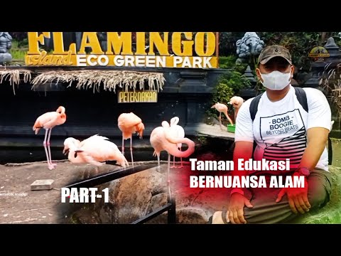 ECO GREEN PARK WISATA EDUKASI BERBASIS ALAM DI KOTA BATU MALANG JAWA TIMUR PART 1