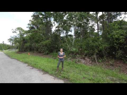 Vacant Lot 1911 Jackson Ave, Lehigh Acres, FL 33972 - 900727 VTSOT