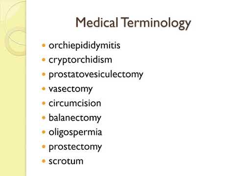 Medical Terminology Chapter 7 ppt Video
