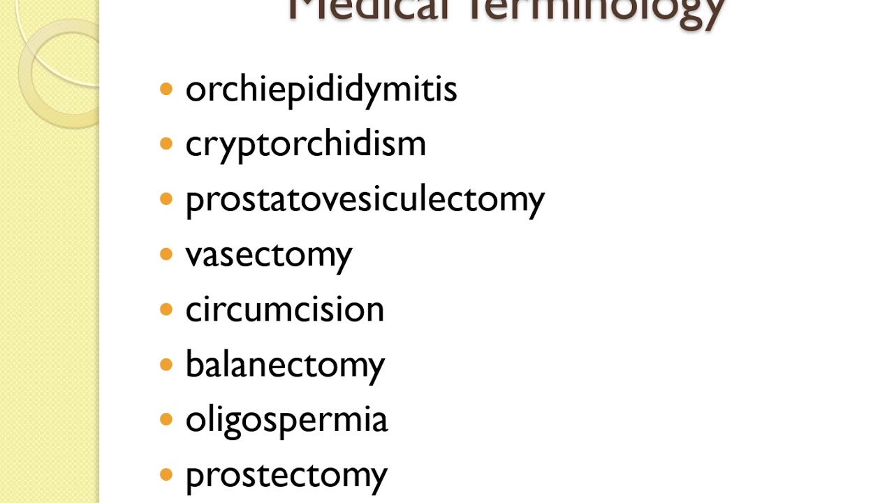Medical Terminology Chapter 7 ppt Video