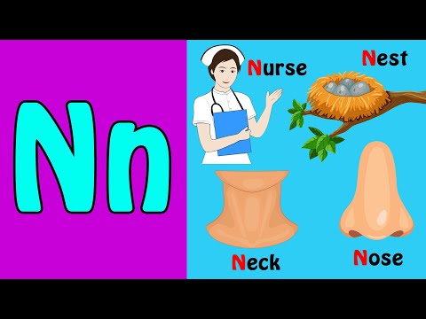 N letter words || Words That Start with N || Words That Start with Letter N || Kids Video