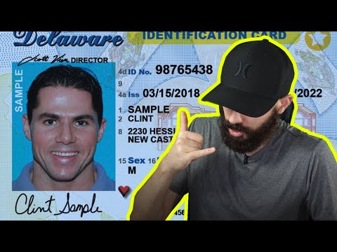 Free Vin Check Scam | Free check on car history | check the car history | Vin Scam