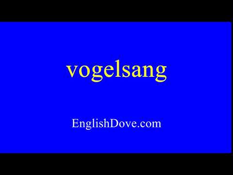 How to pronounce vogelsang in American English.