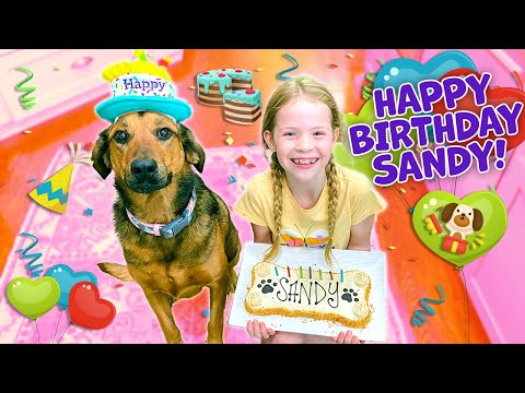 Our Dog's Birthday Party !!!