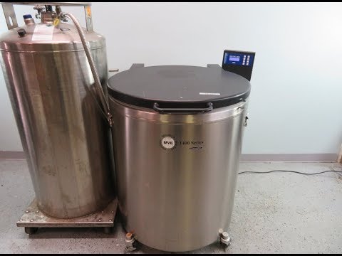 MVE Tec 3000 Controller with 1400 Series Liquid Nitrogen Dewar