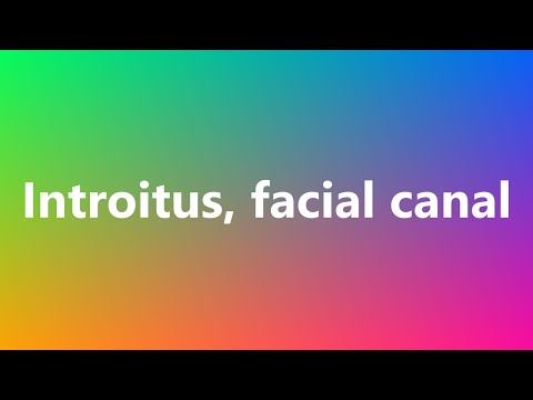 Introitus, facial canal - Medical Meaning and Pronunciation