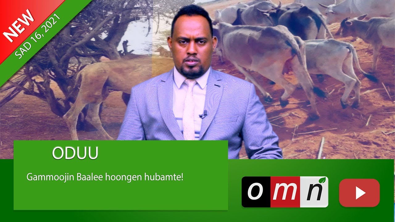 OMN - ODUU IJOO ( SADAASA 16,2021)