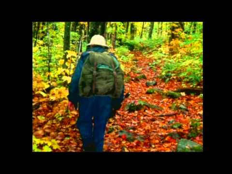 Living in Virginia: Appalachian Trail - Along The Beaten Path