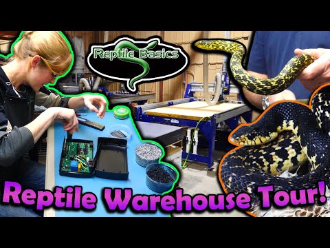 Touring the Reptile Basics Warehouse!