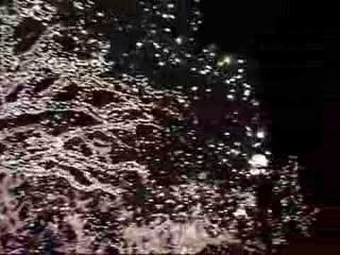 Pedernales Electric Company Christmas Lights