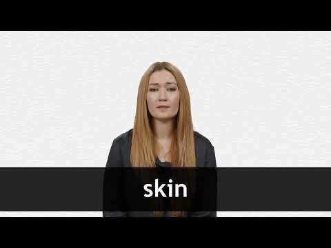 SKIN definition and meaning | Collins English Dictionary