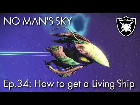 No Man's Sky | 2024 | Ep.34: How to get a Living Ship