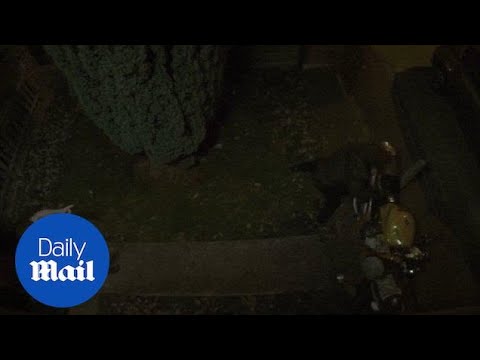 Naked man chases down thieves trying to steal his motorbike - Daily Mail