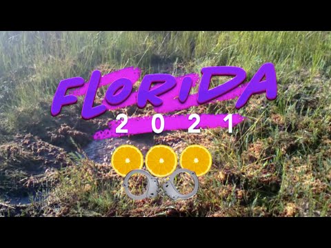 The Sunshine State Is Ready To Host The 2021 Olympics