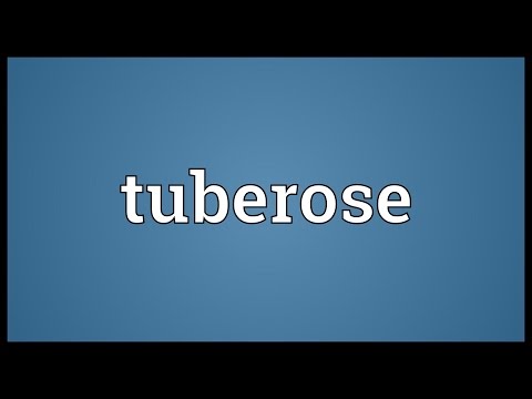 Tuberose Meaning