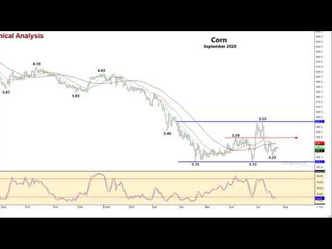 September Corn Chart | Heartland Farm Partners