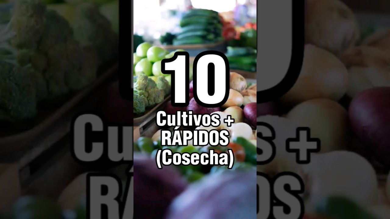 10 Cultivos + Rápidos (Cosecha)