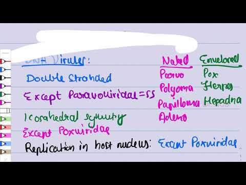 DNA AND RNA VIRUSES #dailydosemedico