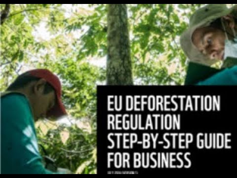 EU Deforestation Regulation - what it means and how to prepare