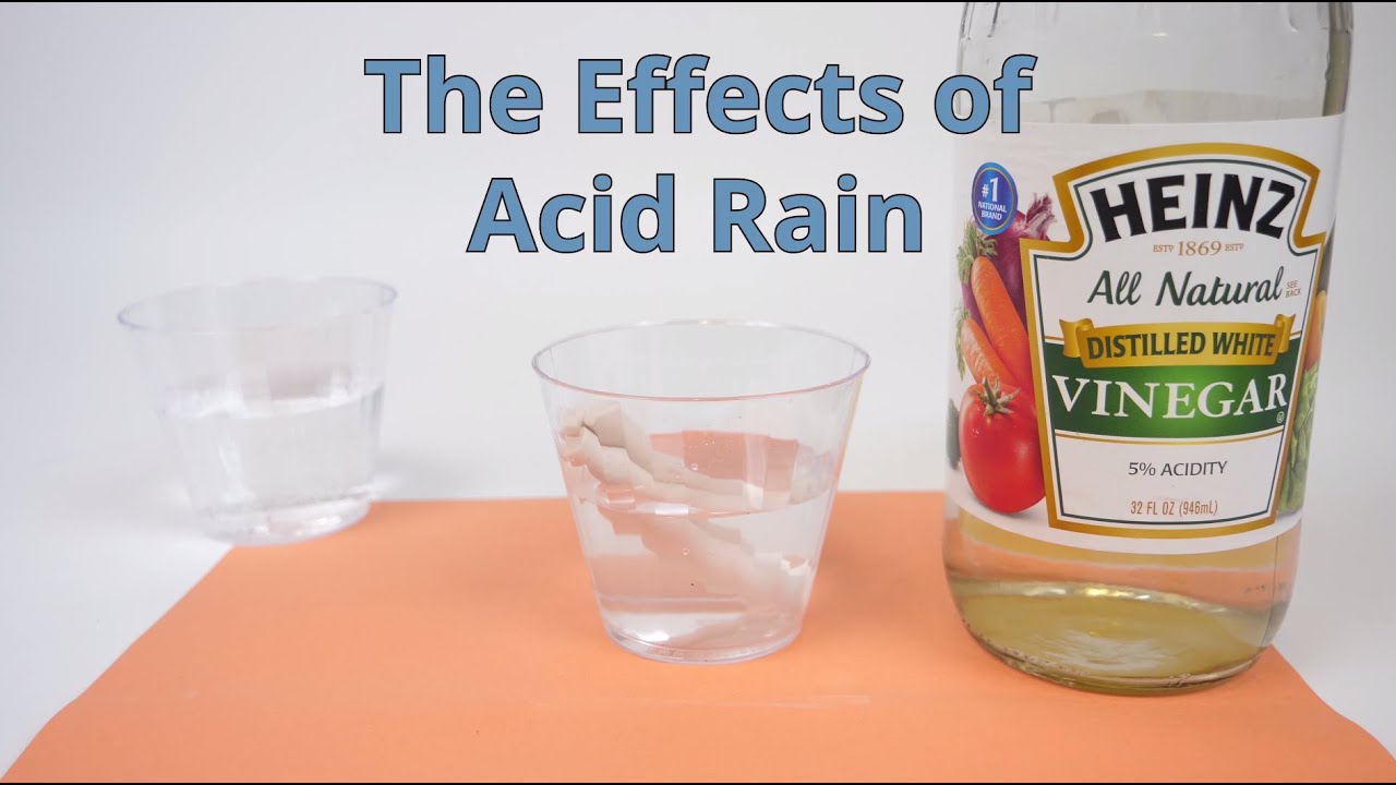 66 8th Grade Science Fair Projects - 2025 - College Transitions