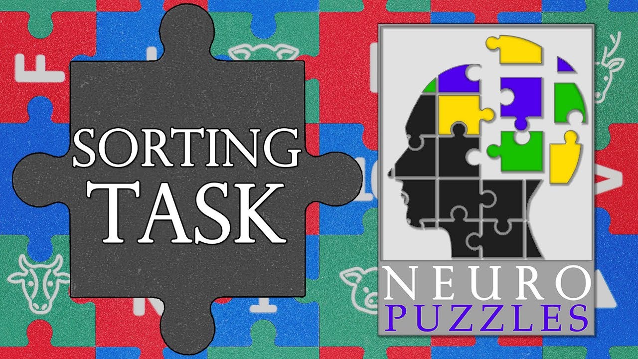 3. Sorting Task