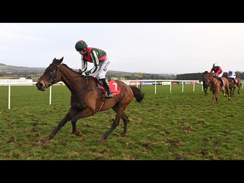 GAMEOFINCHES new Champion Bumper favourite after impressive Rules debut!