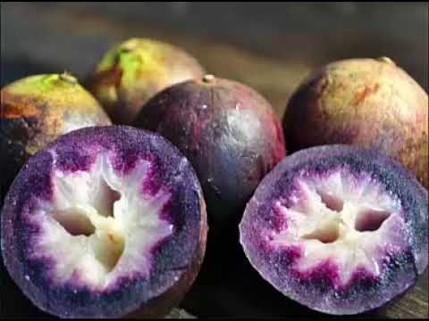 Star Apple facts and health benefits