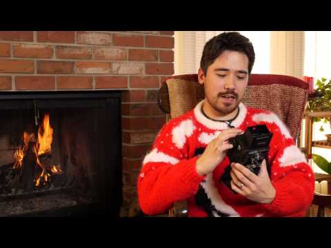 The Holiday Special: Christmas Fantasy Cameras